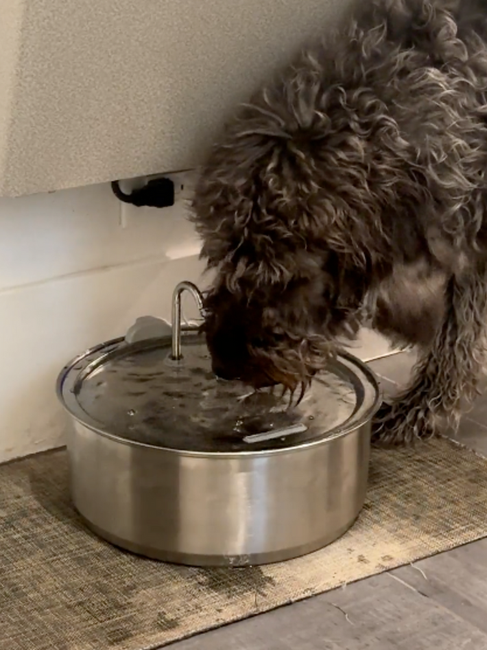HydroPaws™